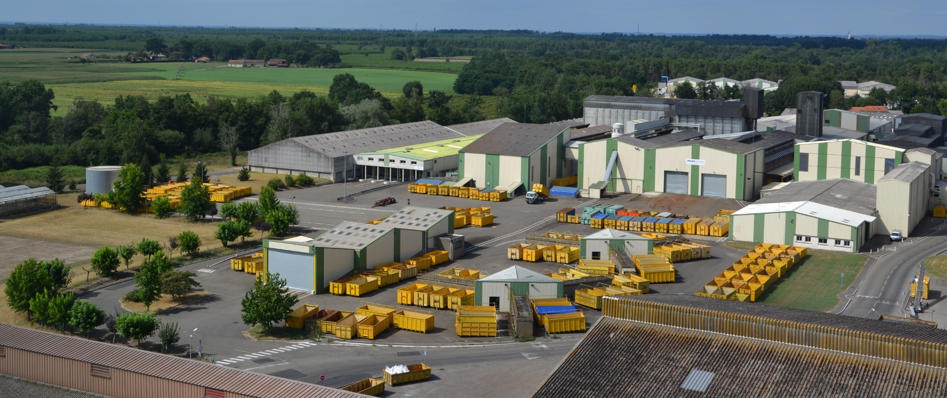 Saatgutproduktion - MAS Seeds Deutschland